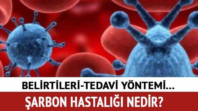 Şarbon hastalığı belirtileri nedir? - Son Dakika Haberler | AKŞAM