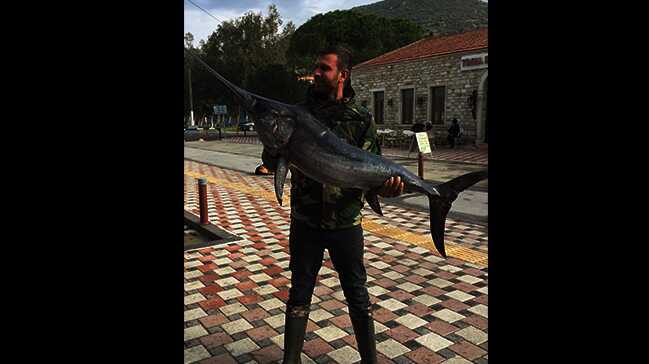 İzmir Yeni Foça'da oltayla 42 kiloluk kılıç balığı yakaladılar ...
